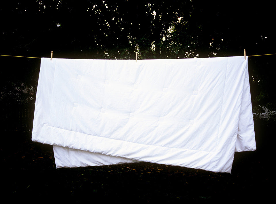 Silk Filled Duvet Inner | biancalorenne.co.nz