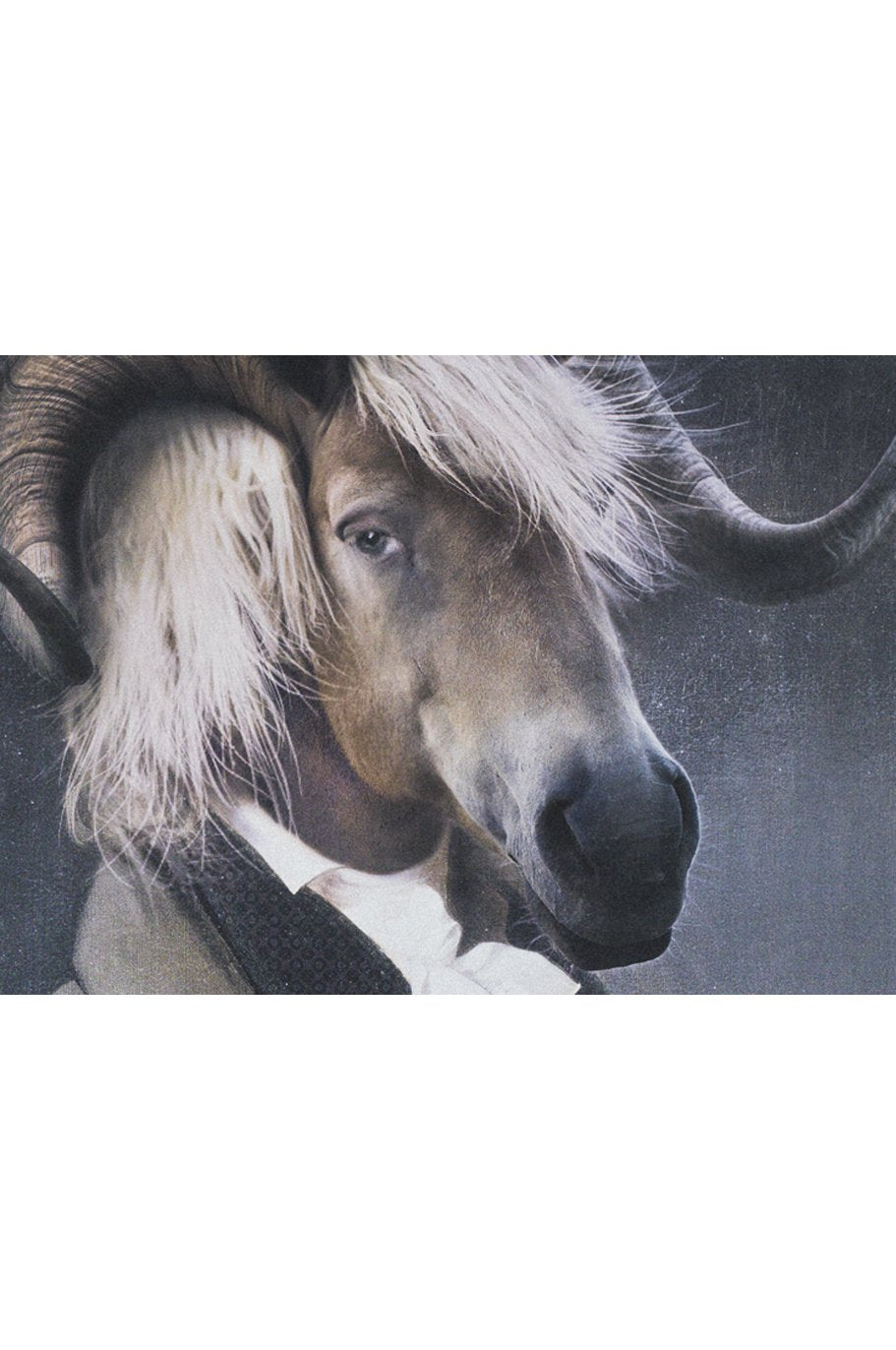 Chatterton Portrait | biancalorenne.co.nz